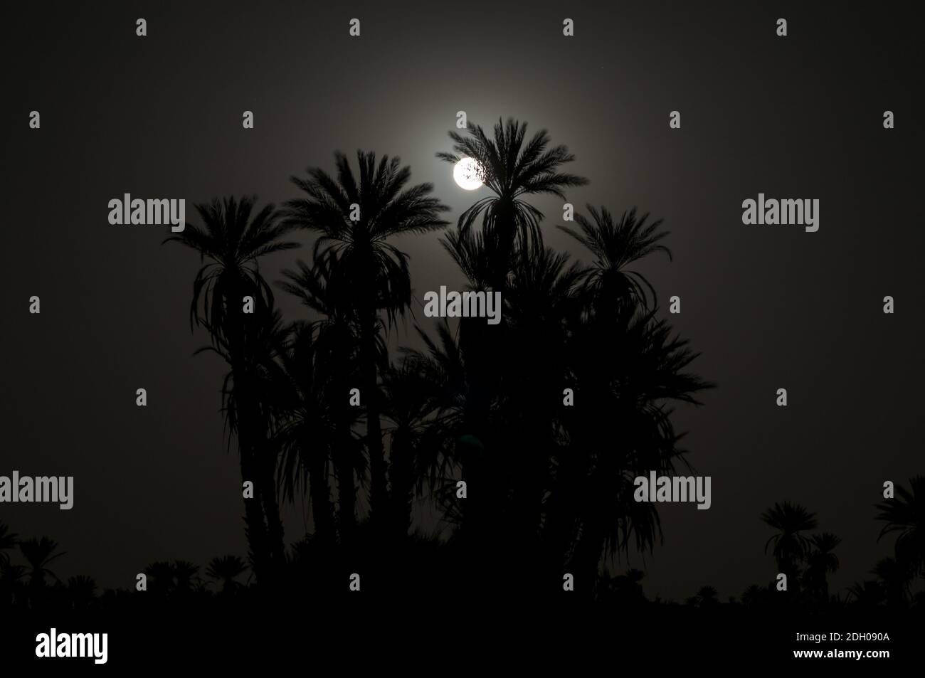 Full moon in the Sahara Stock Photo - Alamy
