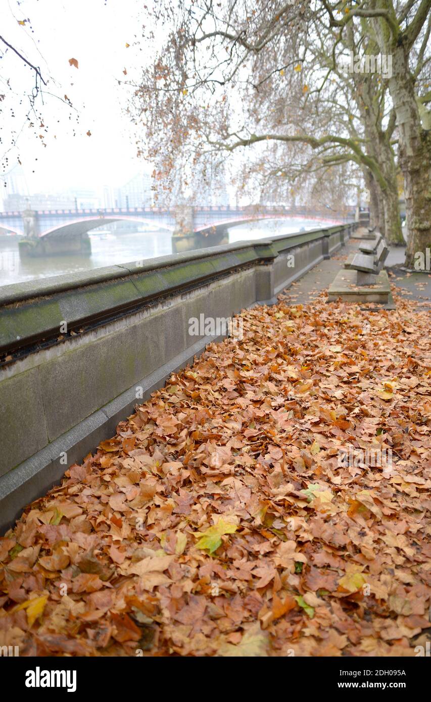 London, England, UK. Autumn leaves by the River Thames in Victoria ...