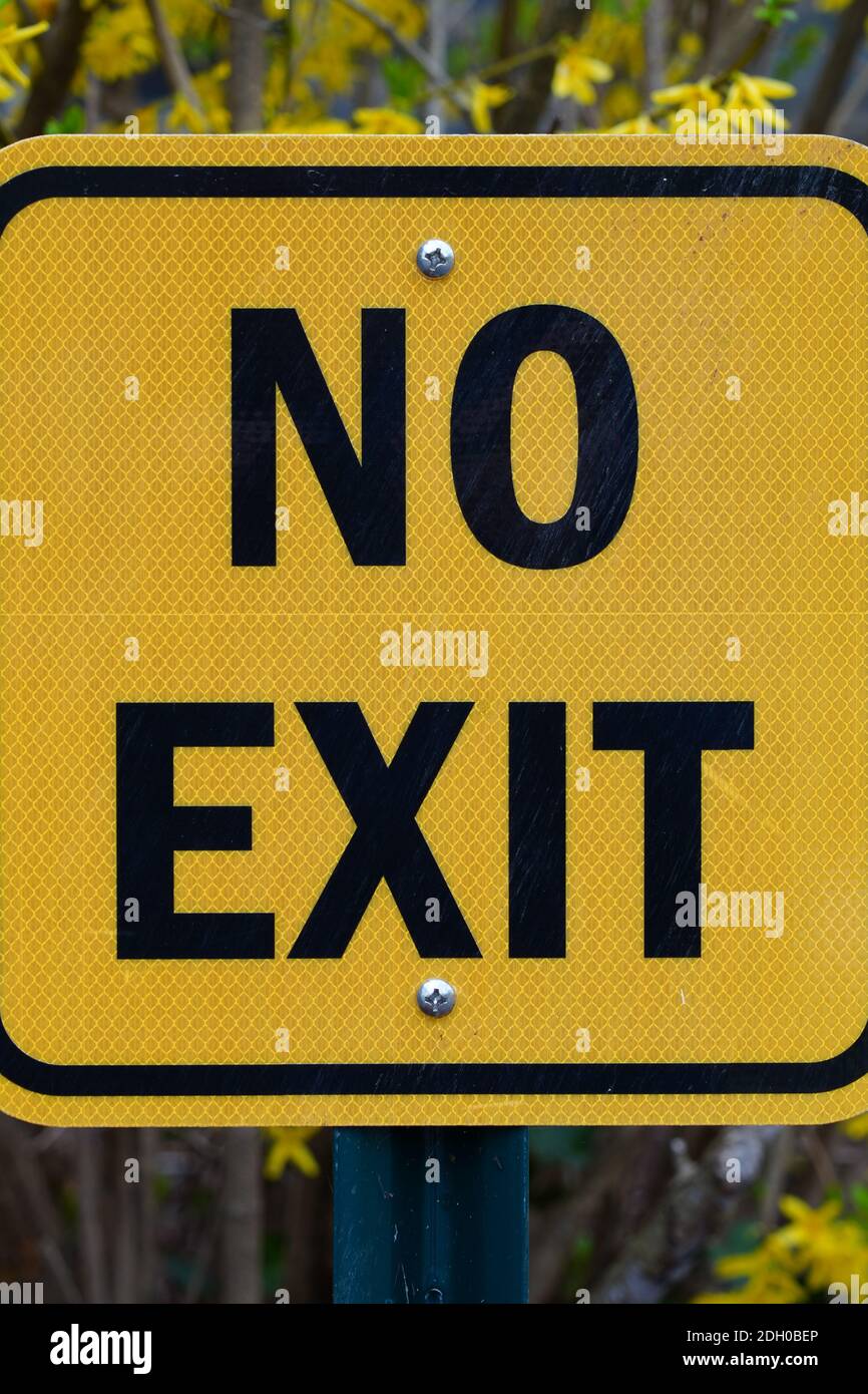 Yellow sign saying No Exit Stock Photo - Alamy