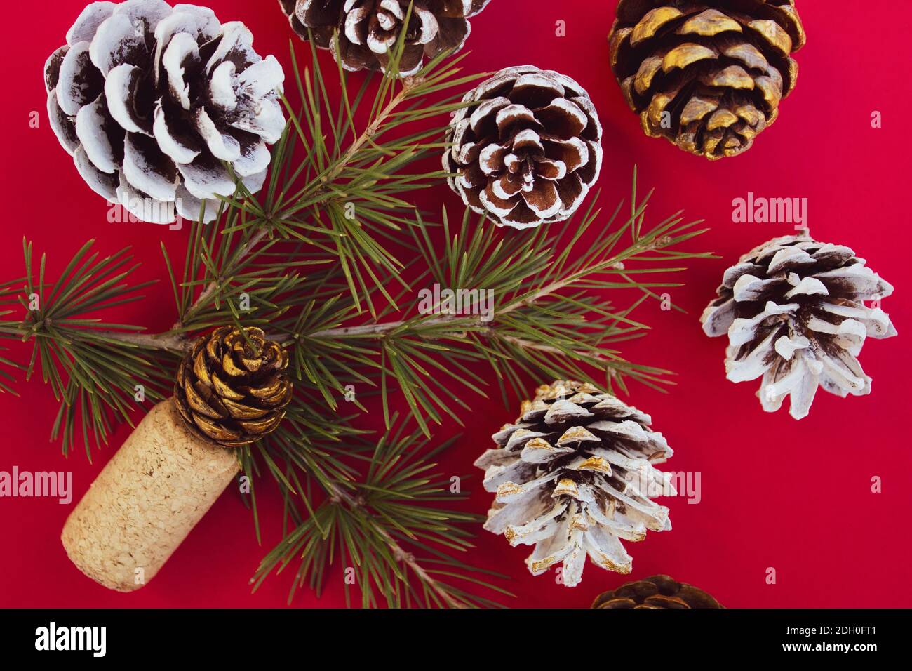 Christmas decorations isolated on red background. Decorative pine cones ...