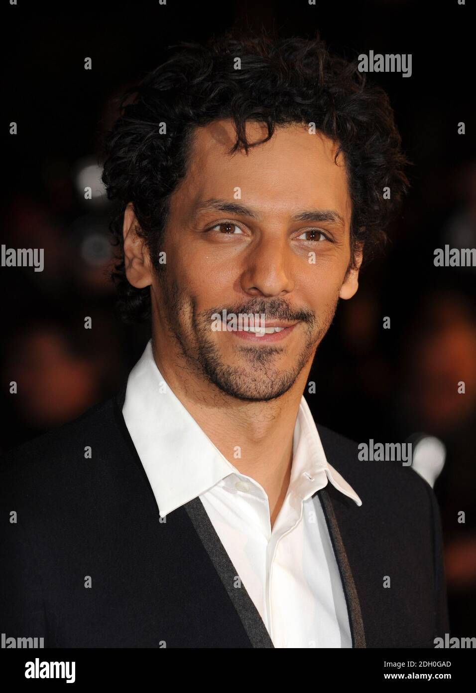 Tomer Sisley attends the NRJ Music Awards 2009 held at the Palais des ...