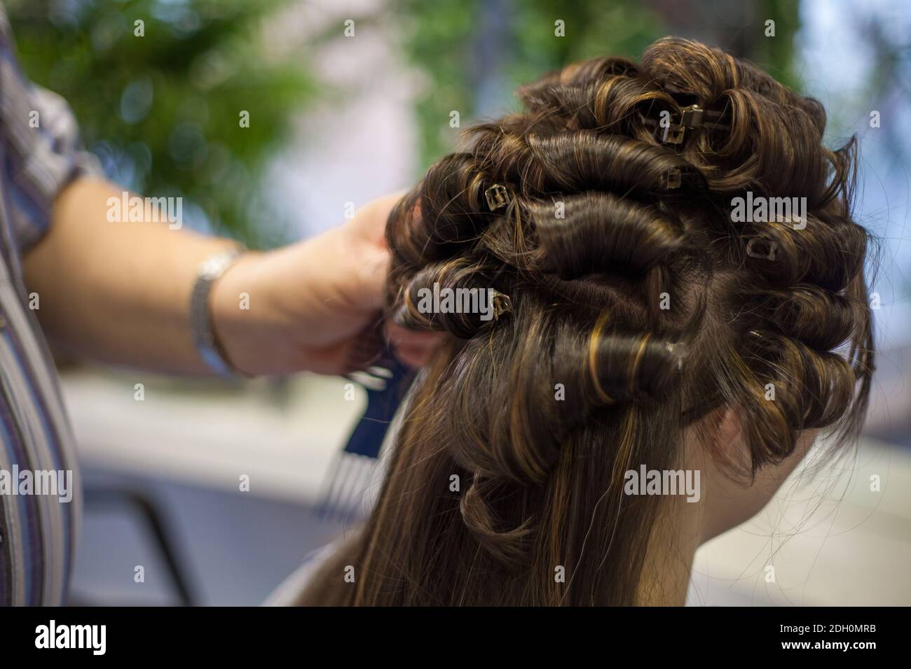 Hairdresser doing a woman's hair Stock Photo - Alamy