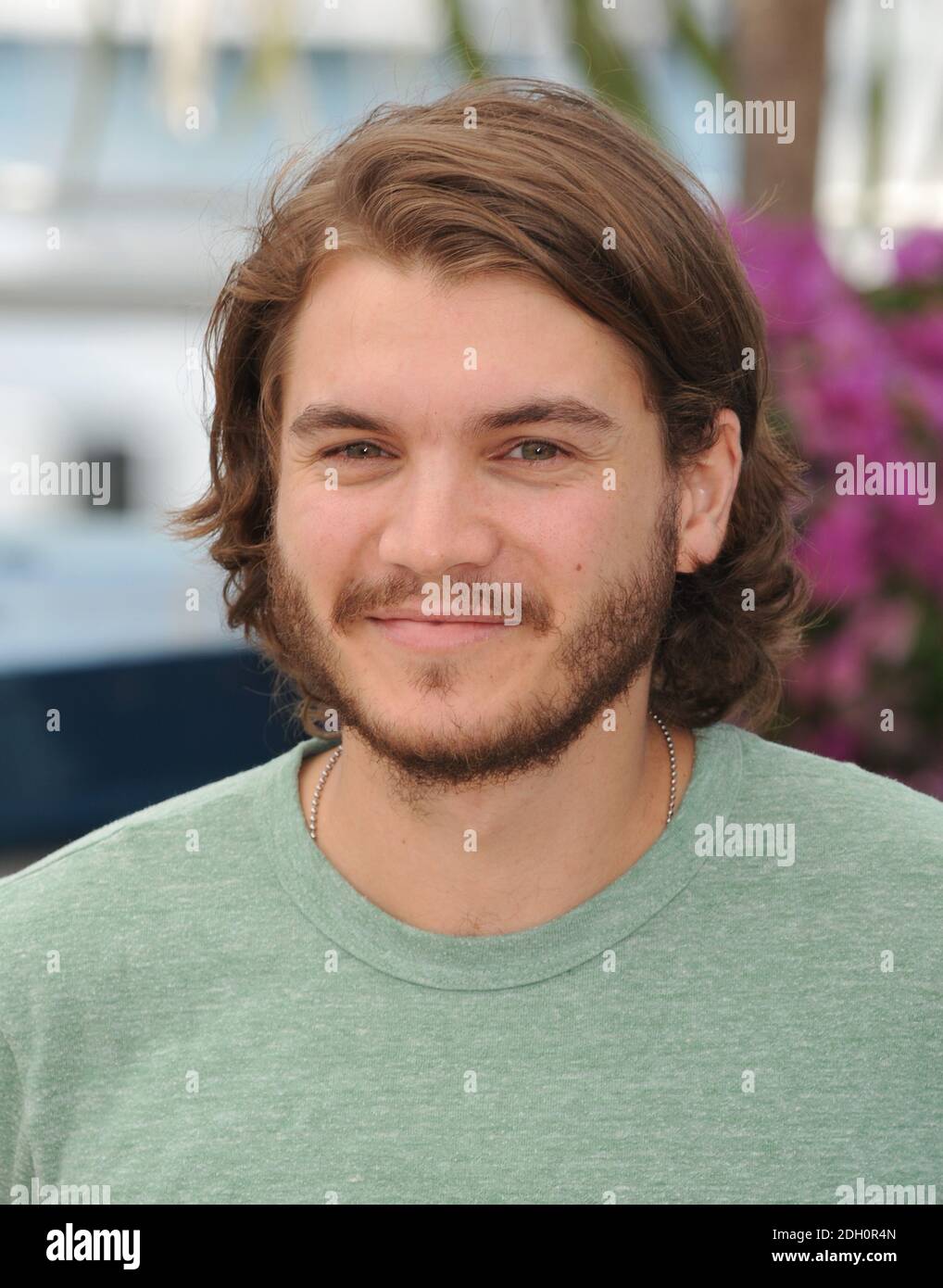 Hirsh hi-res stock photography and images - Alamy