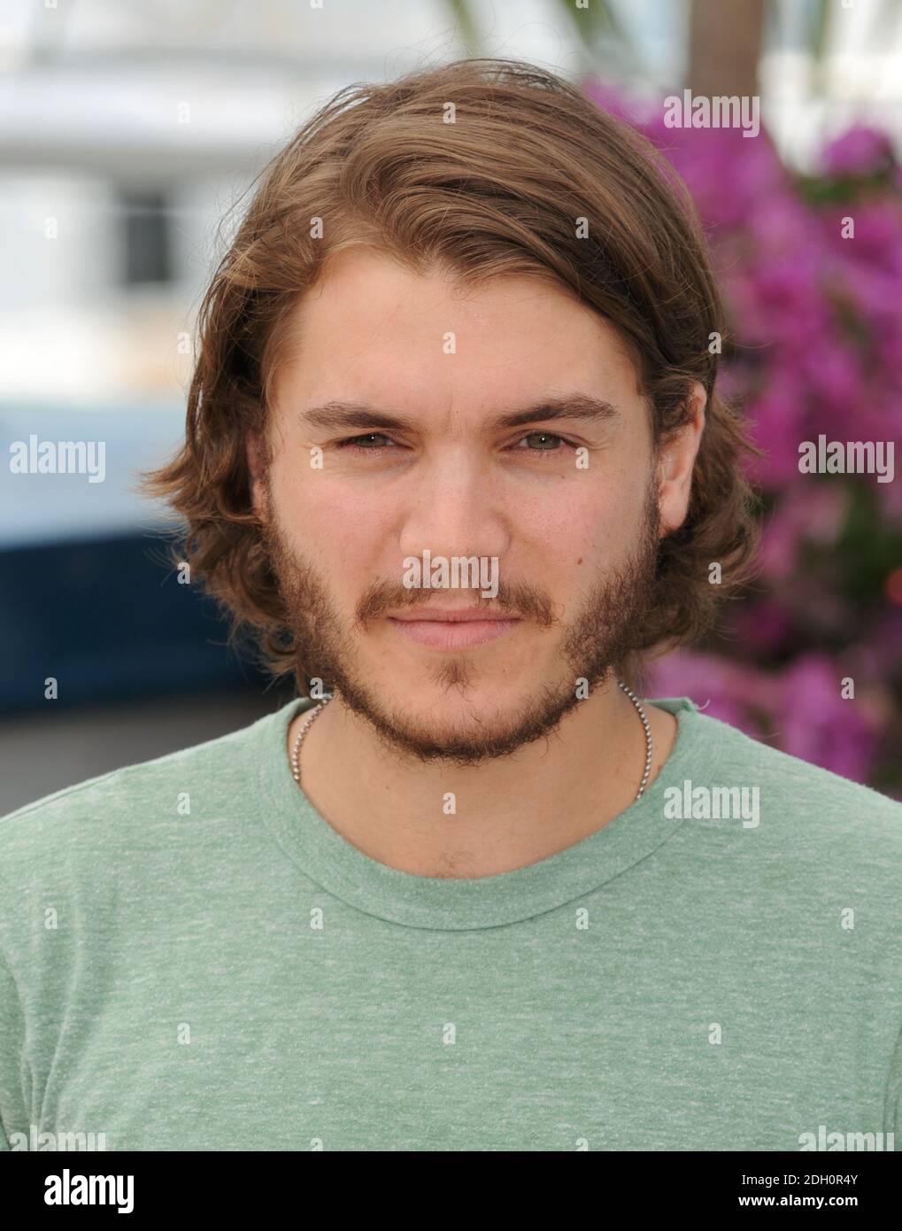 Hirsh hi-res stock photography and images - Alamy