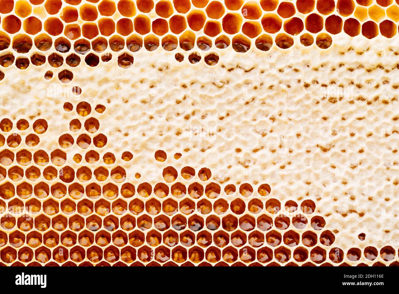 yellow beautiful honeycomb with honey, background Stock Photo - Alamy