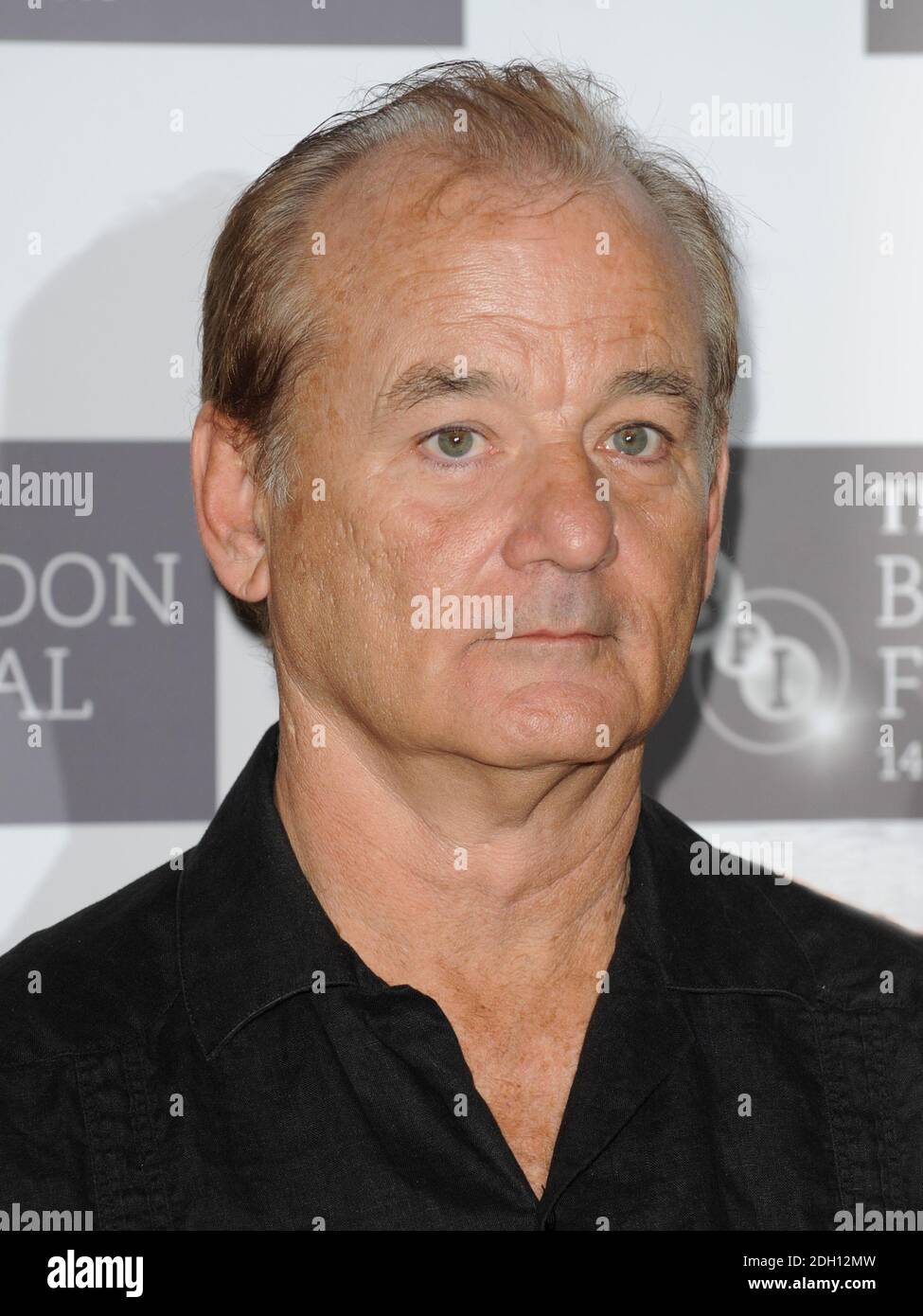 Bill Murray at the 'Fantastic Mr Fox' photocall as part of the BFI ...