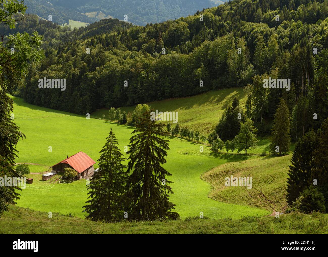 A farm among Swiss forest and green fields of Gruyere region ...
