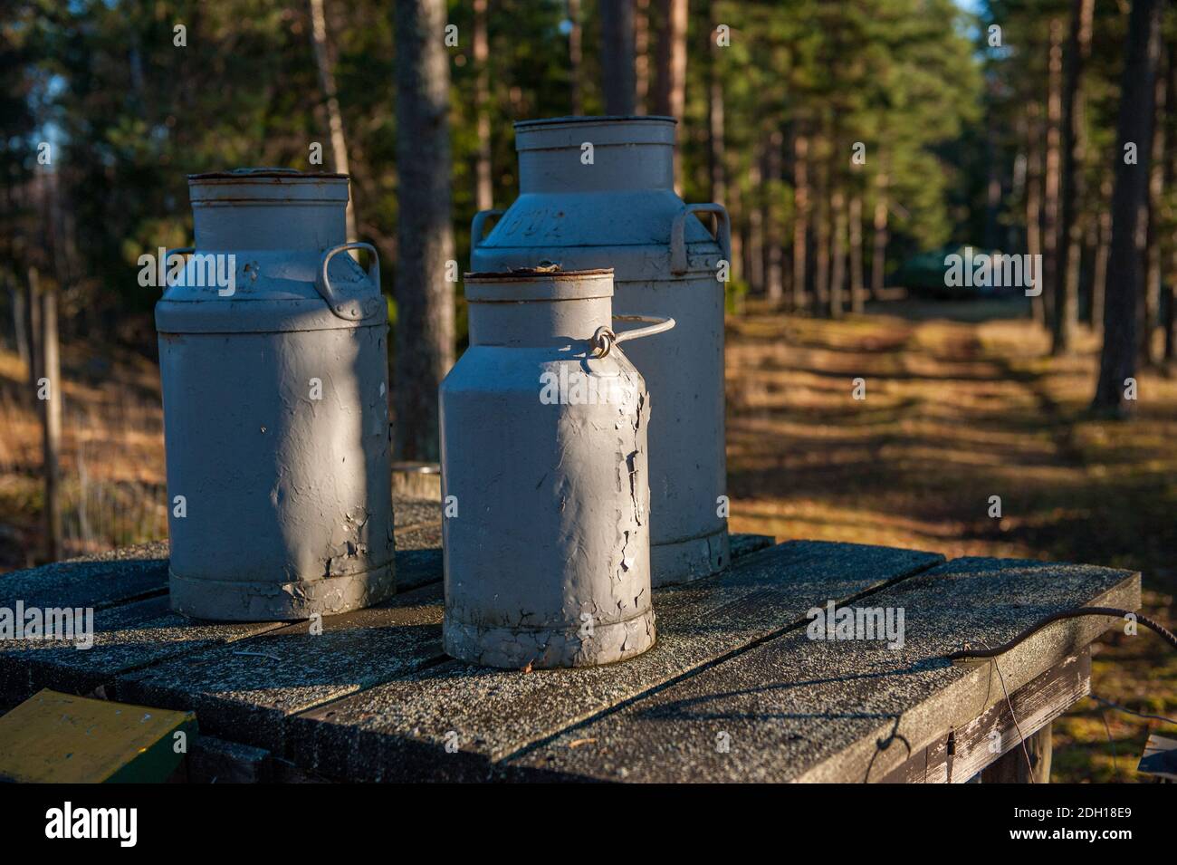 Traditional milk churn stand maintained for decorative purposes along a ...