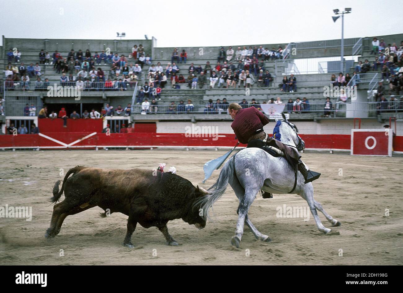 Bullfighting with Horse, Arles in the South of France Stock Photo - Alamy