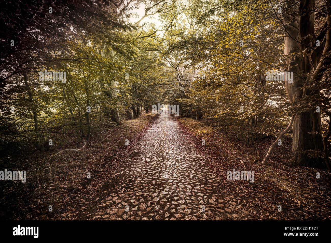 Uneven path hi-res stock photography and images - Alamy