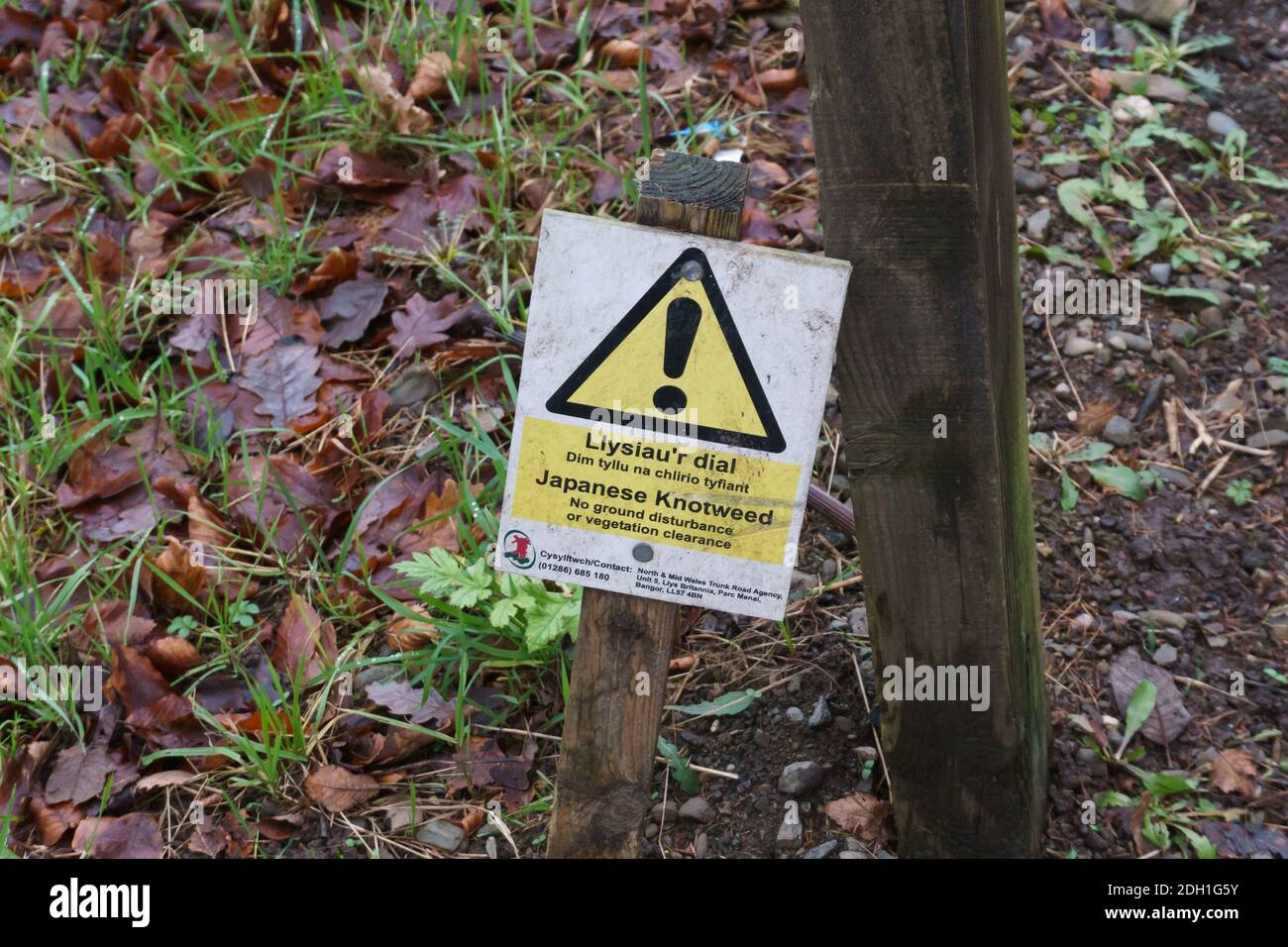 No ground disturbance hi-res stock photography and images - Alamy