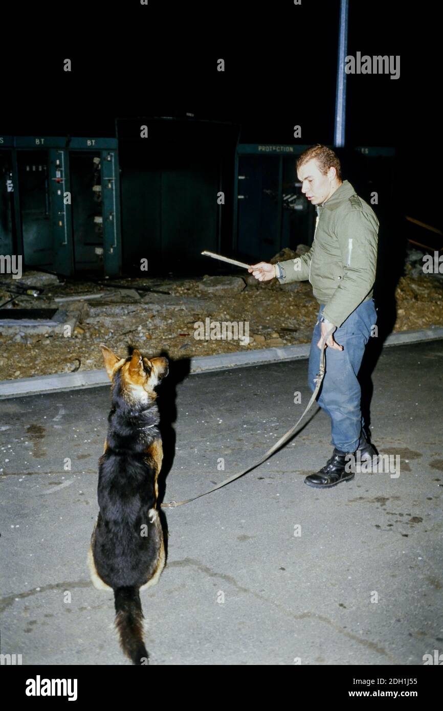 Mad killer dogs hi-res stock photography and images - Alamy