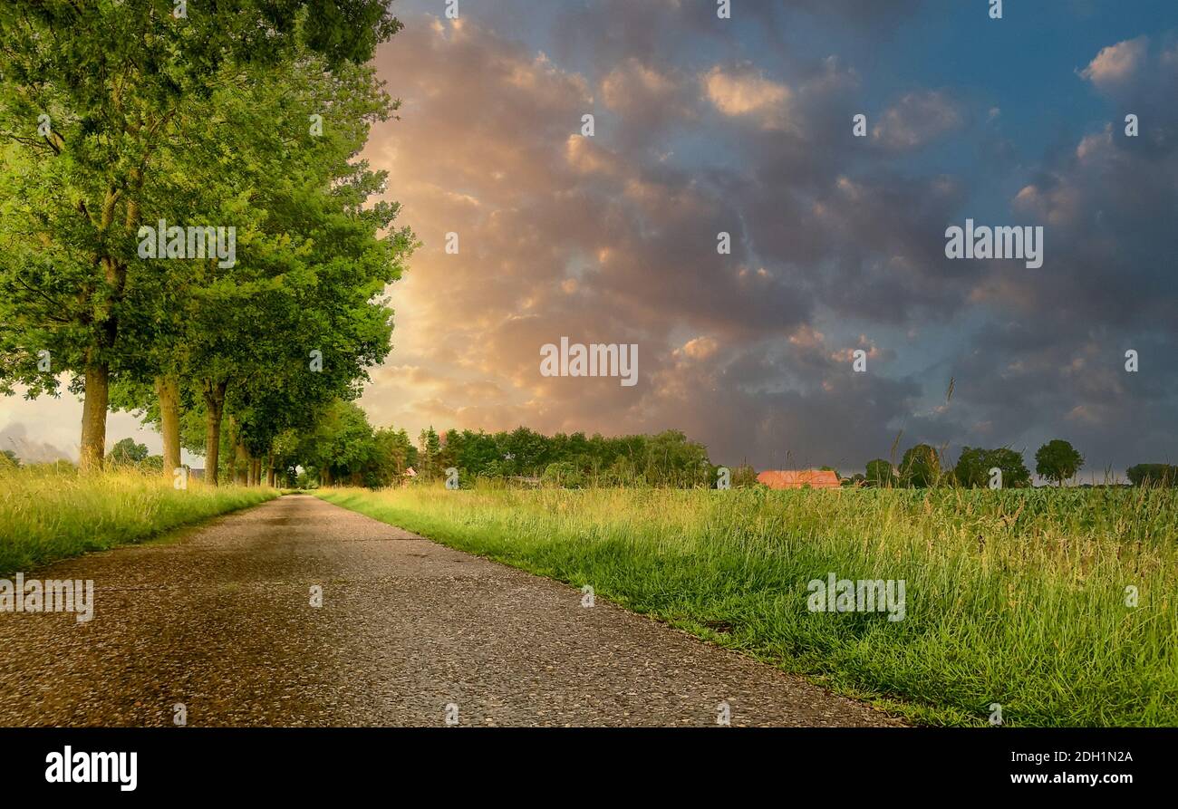 Path with grass hi-res stock photography and images - Alamy