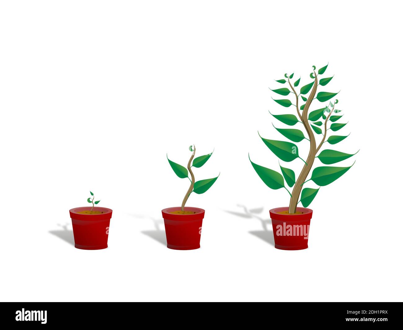 Three plants in different sizes on white background - 3d rendering ...