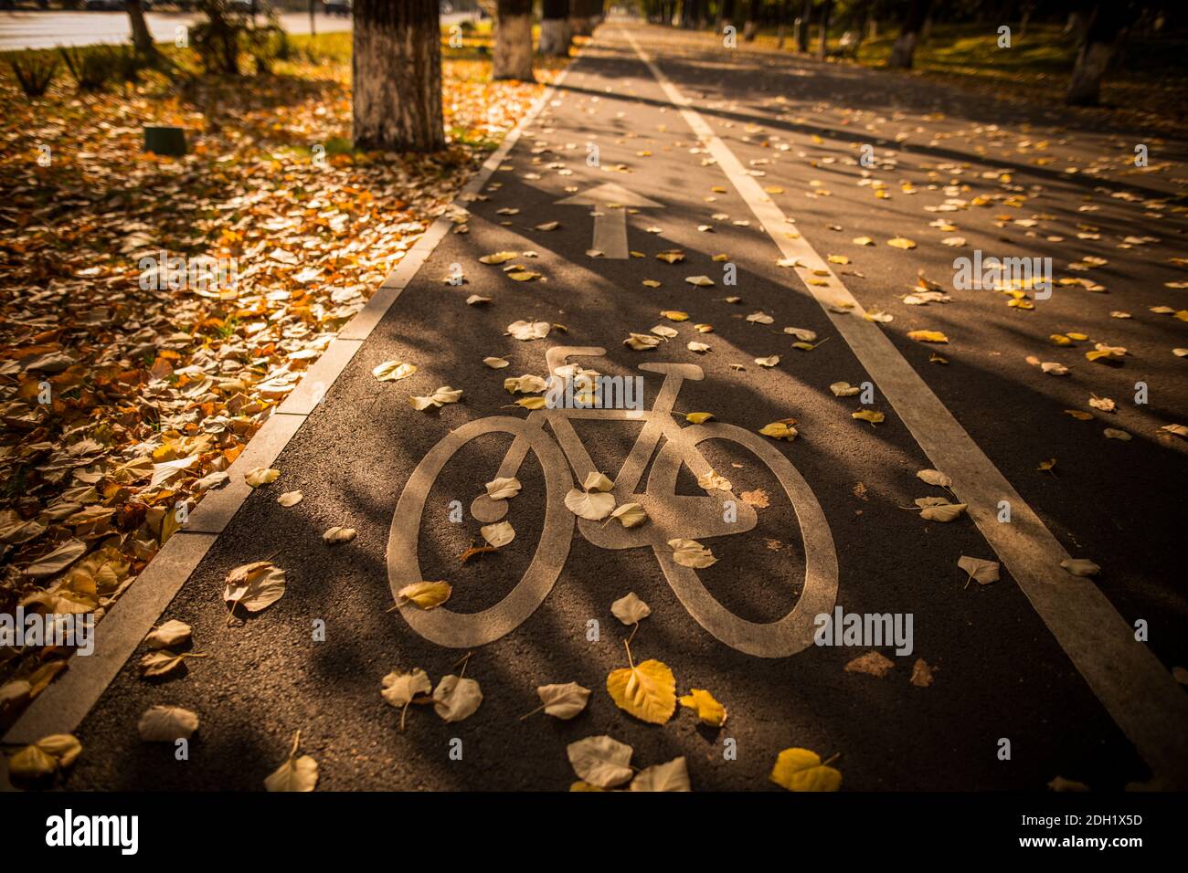 Color image of a bicycle lane symbol in a park, on an autumn day Stock ...