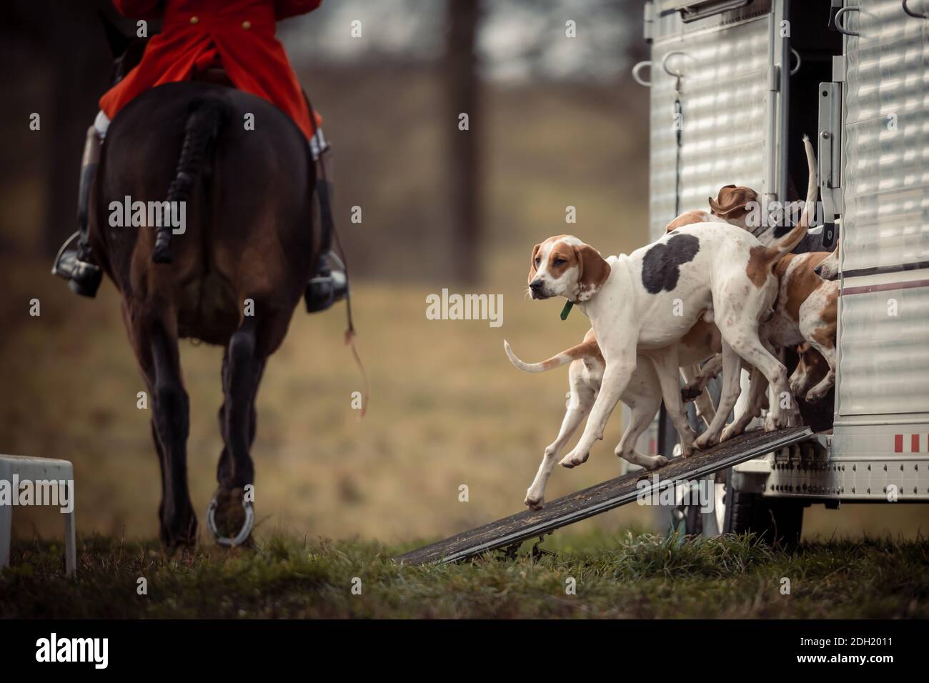 Drag hunt hi-res stock photography and images - Alamy