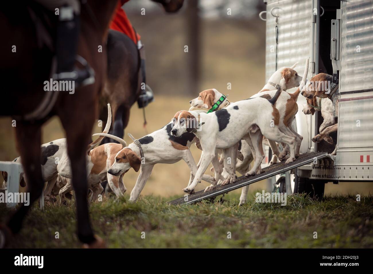 Colour landscape photos of the Hamilton Hunt Club in Ontario Canada ...