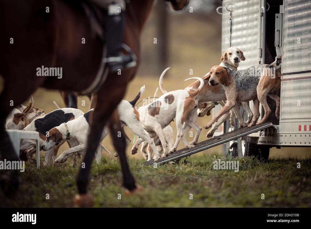 Colour landscape photos of the Hamilton Hunt Club in Ontario Canada ...