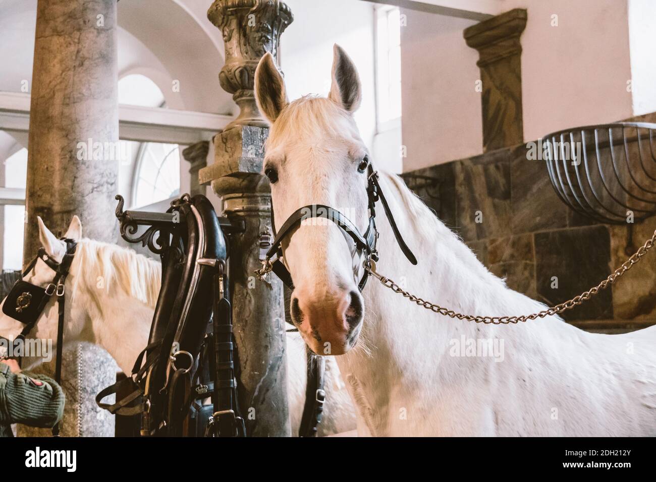 Royal Stable in Denmark, the city of Copenhagen in the territory of ...