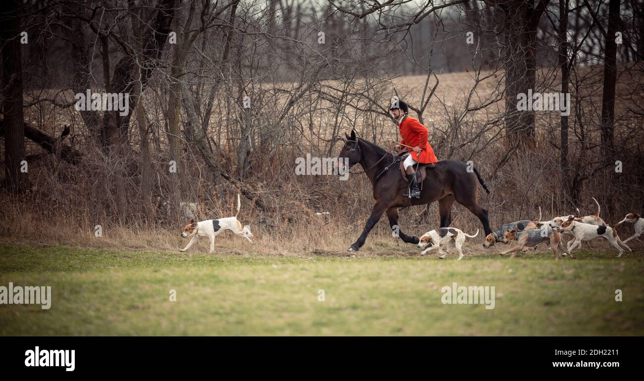 Fox hunt hi-res stock photography and images - Alamy