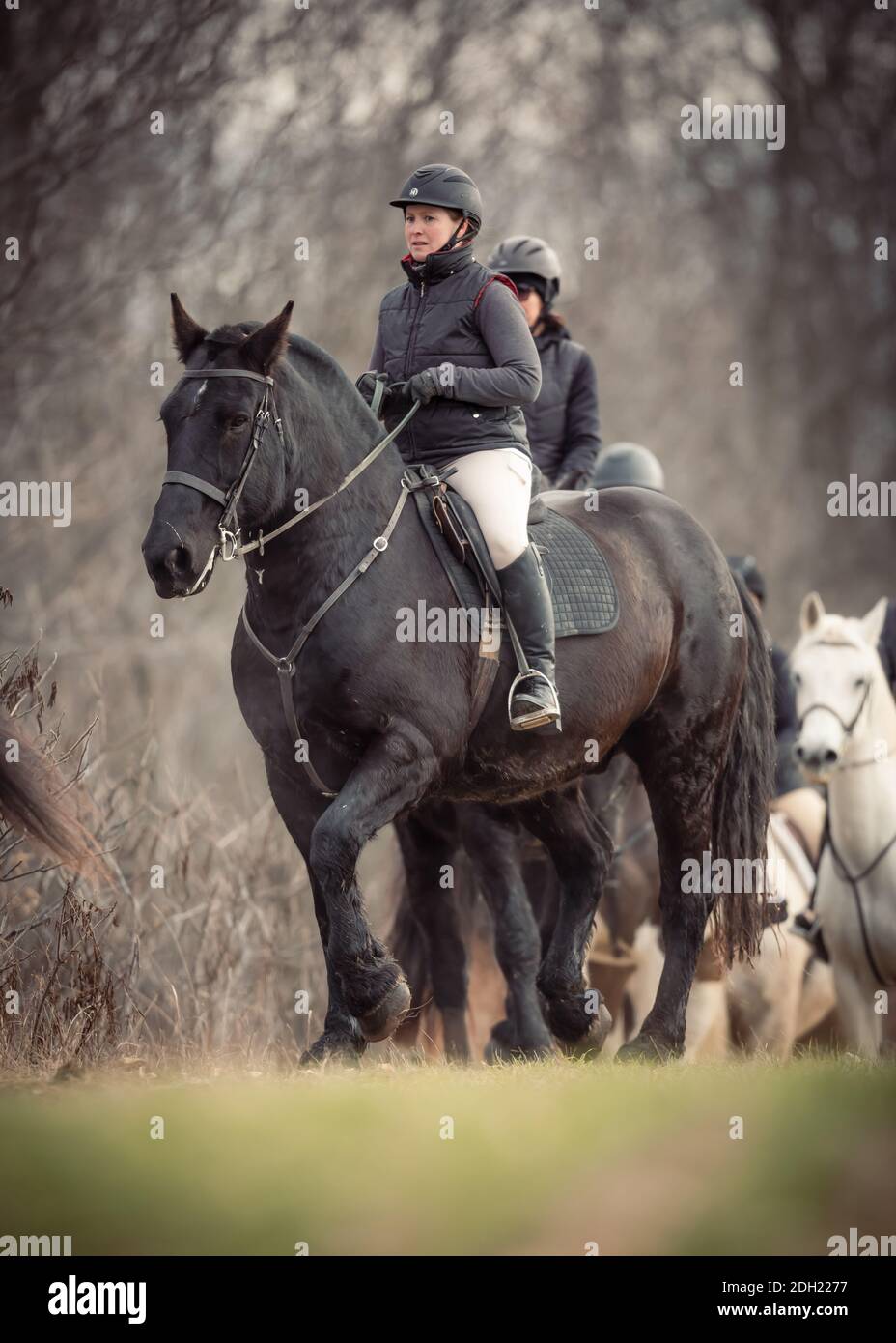 Colour landscape photos of the Hamilton Hunt Club in Ontario Canada ...