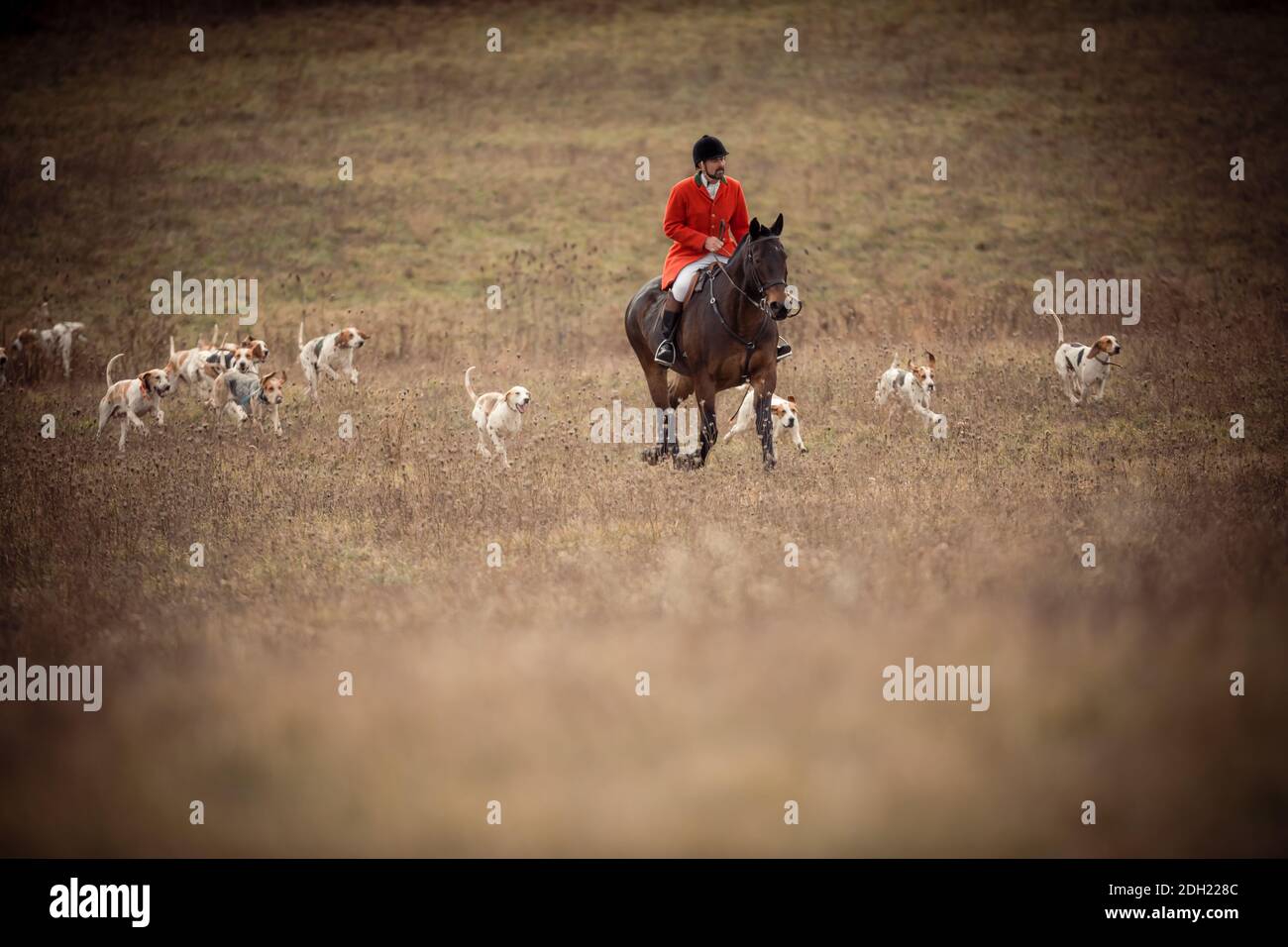 Colour landscape photos of the Hamilton Hunt Club in Ontario Canada ...