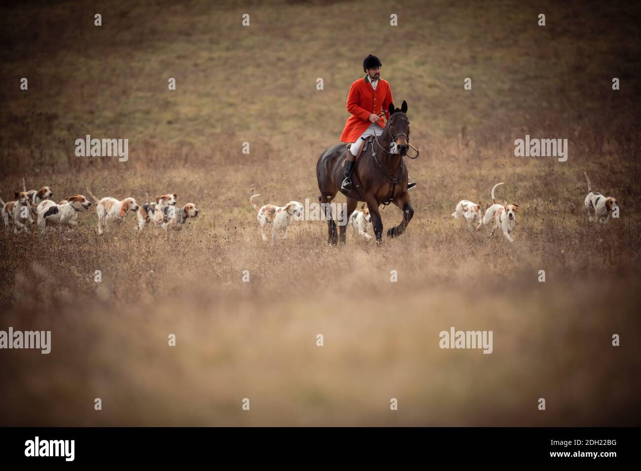 Colour landscape photos of the Hamilton Hunt Club in Ontario Canada ...