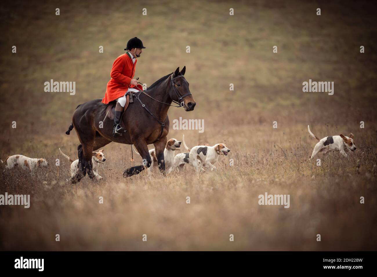 Colour landscape photos of the Hamilton Hunt Club in Ontario Canada ...
