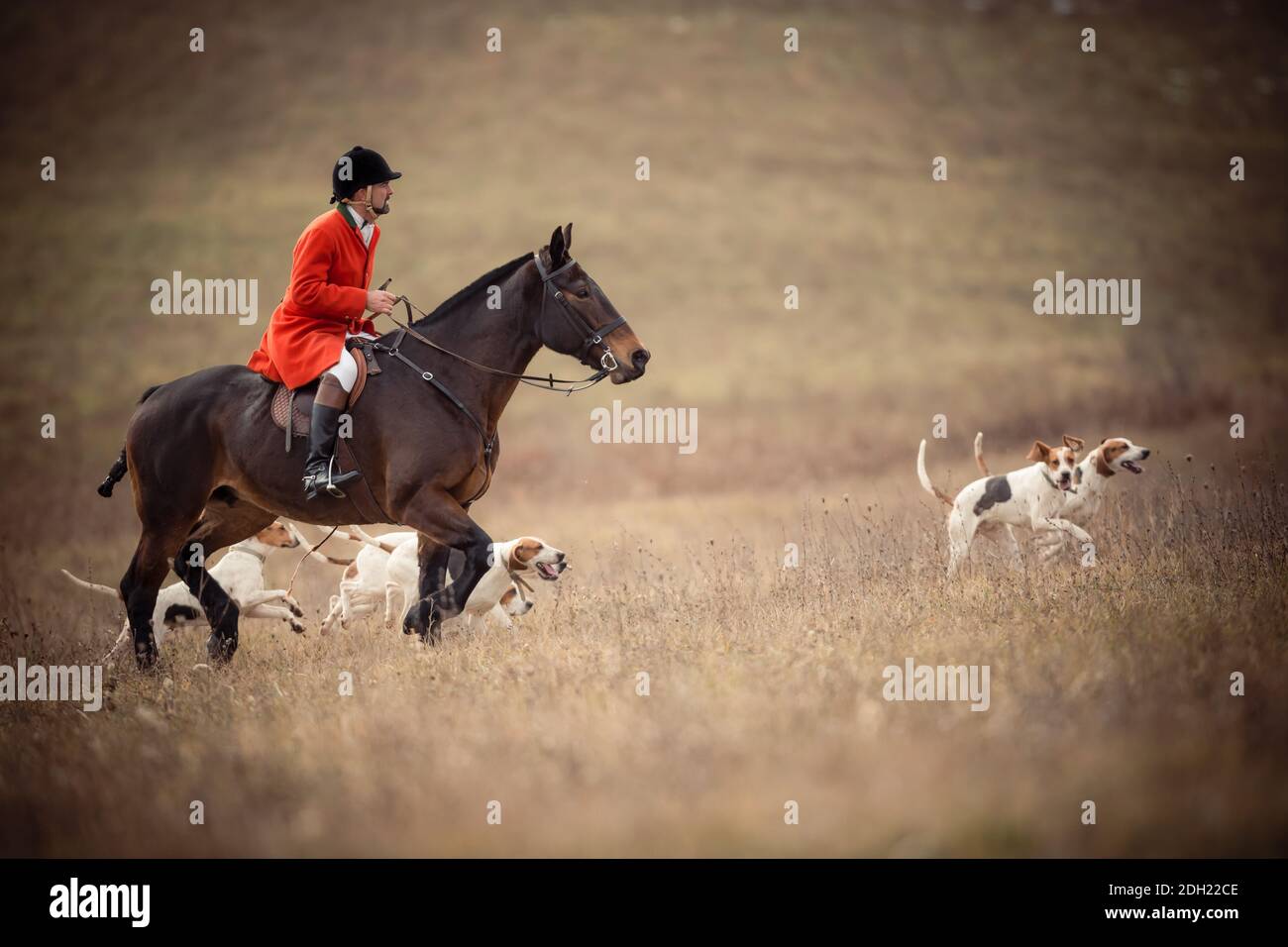 Colour landscape photos of the Hamilton Hunt Club in Ontario Canada ...