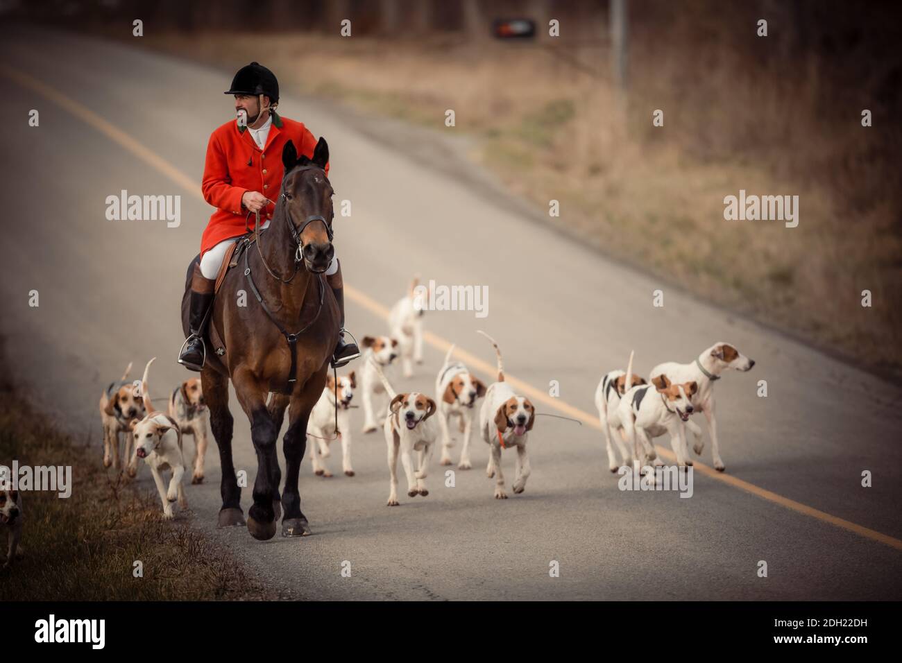 Colour landscape photos of the Hamilton Hunt Club in Ontario Canada ...