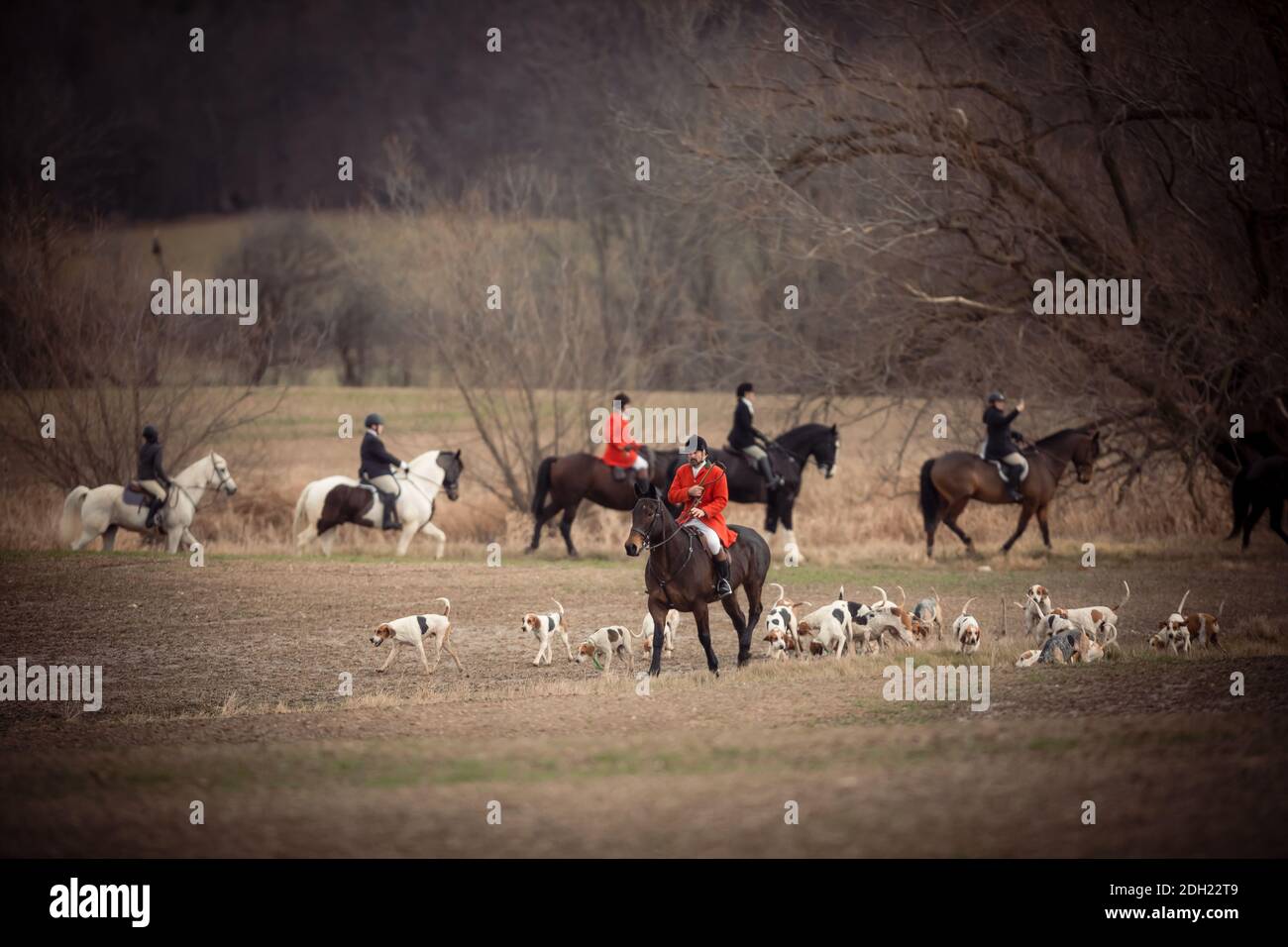 Colour landscape photos of the Hamilton Hunt Club in Ontario Canada ...
