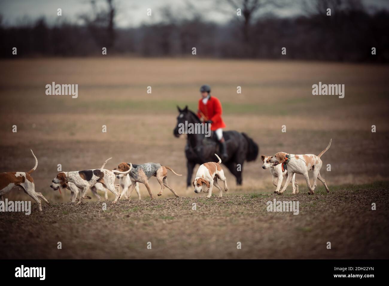Colour landscape photos of the Hamilton Hunt Club in Ontario Canada ...