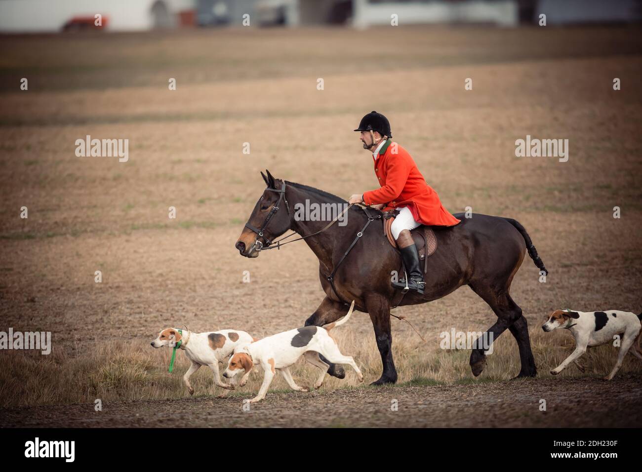 Colour landscape photos of the Hamilton Hunt Club in Ontario Canada ...