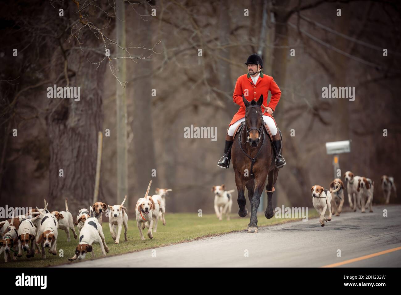 Colour landscape photos of the Hamilton Hunt Club in Ontario Canada ...