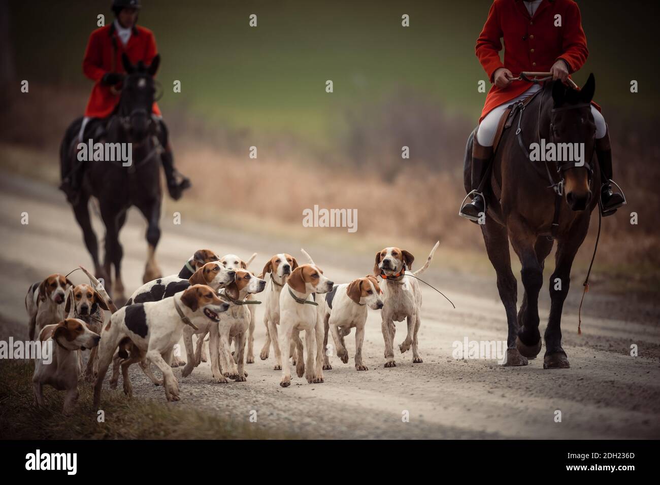 Colour landscape photos of the Hamilton Hunt Club in Ontario Canada ...