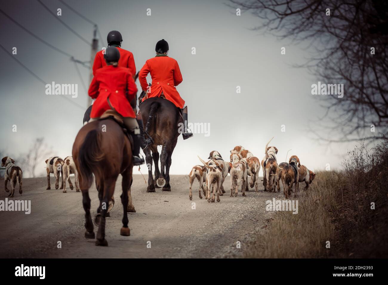 Colour landscape photos of the Hamilton Hunt Club in Ontario Canada ...