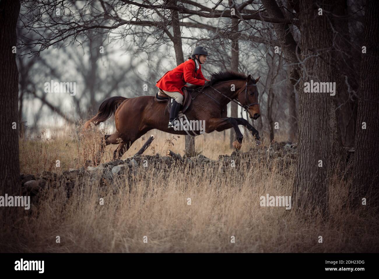 Colour landscape photos of the Hamilton Hunt Club in Ontario Canada ...