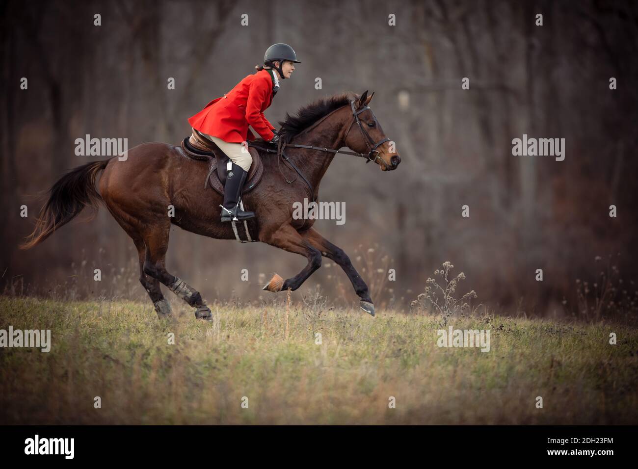 Colour landscape photos of the Hamilton Hunt Club in Ontario Canada ...