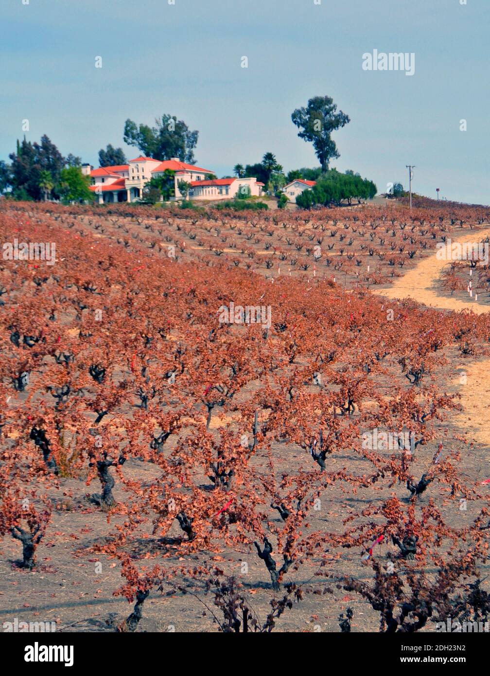 Louis robles hi-res stock photography and images - Alamy