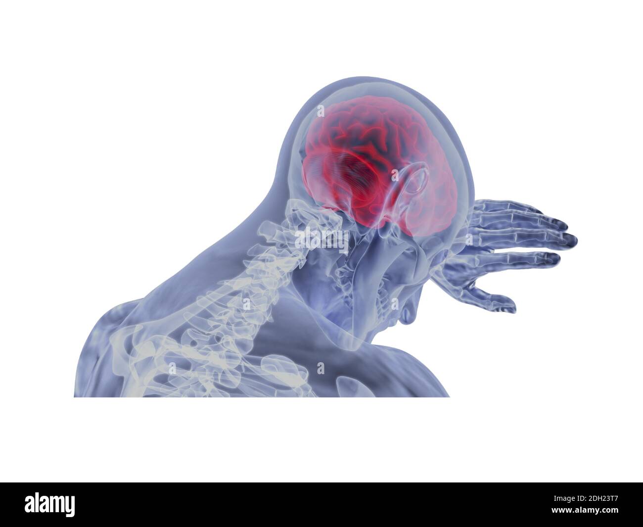 Several questions about the brain on white background - 3d rendering ...