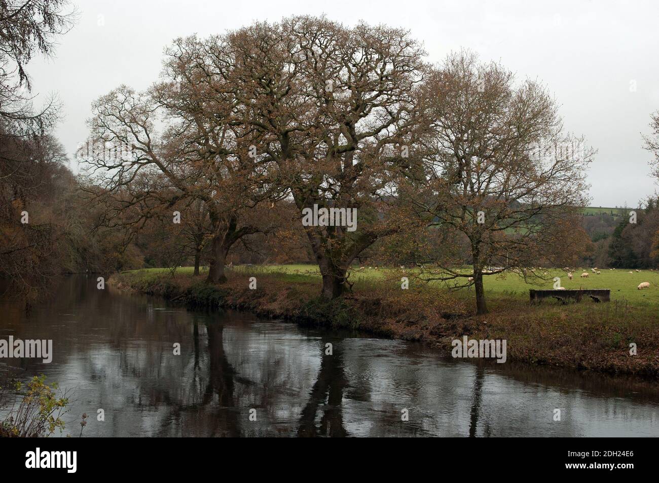 Slaney river hi-res stock photography and images - Alamy