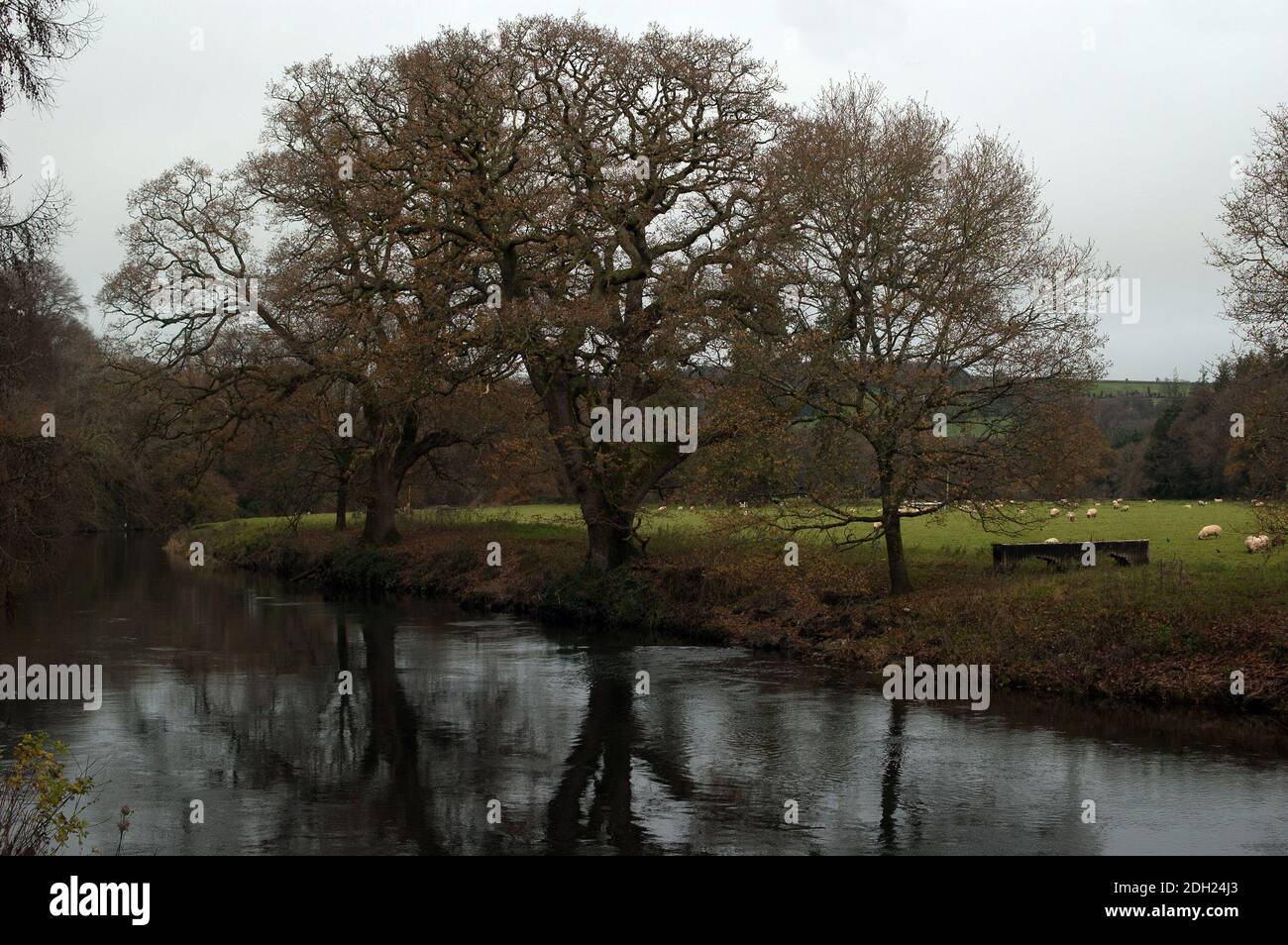 Slaney river hi-res stock photography and images - Alamy