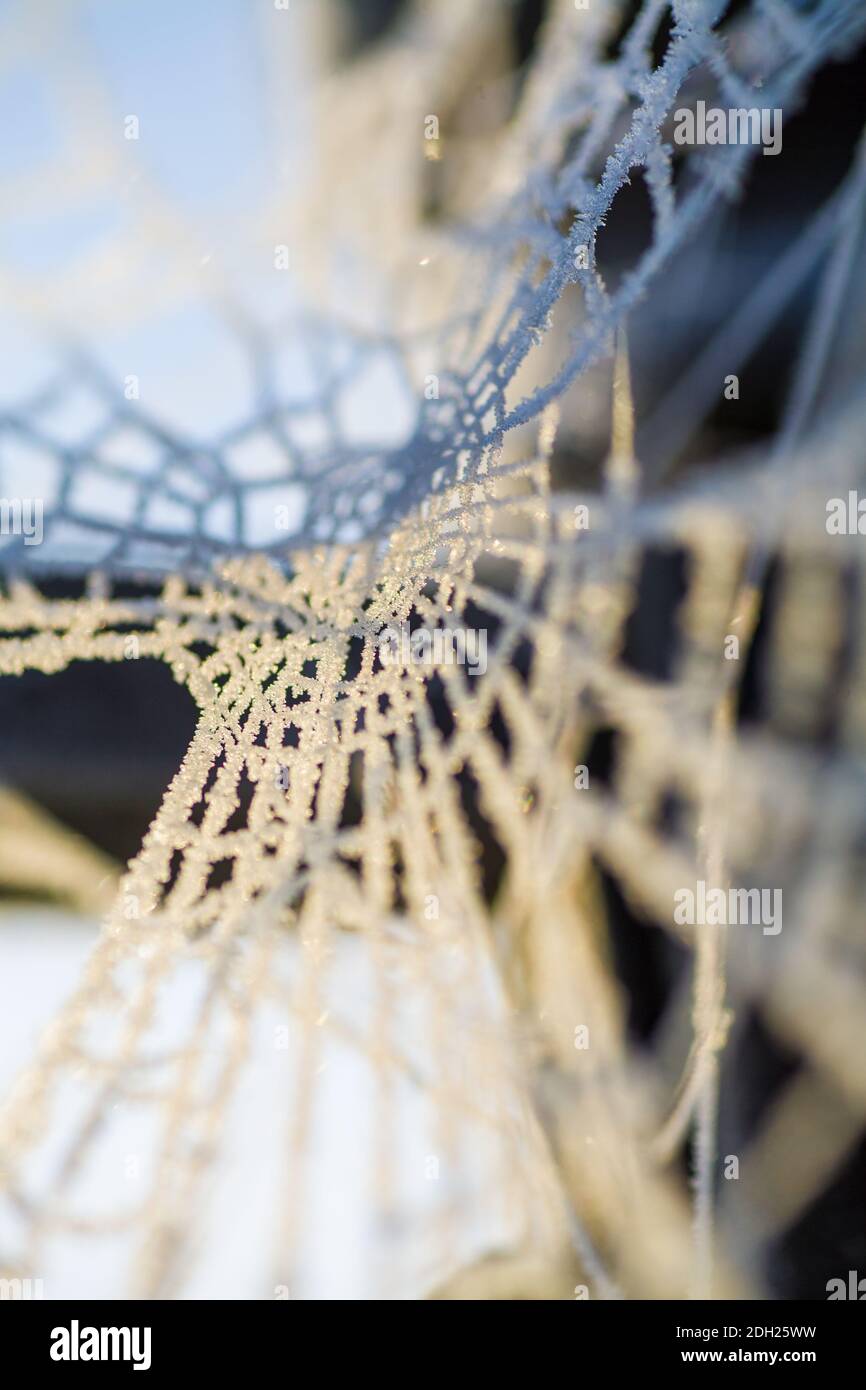 A cobweb covered by iced frost Stock Photo - Alamy