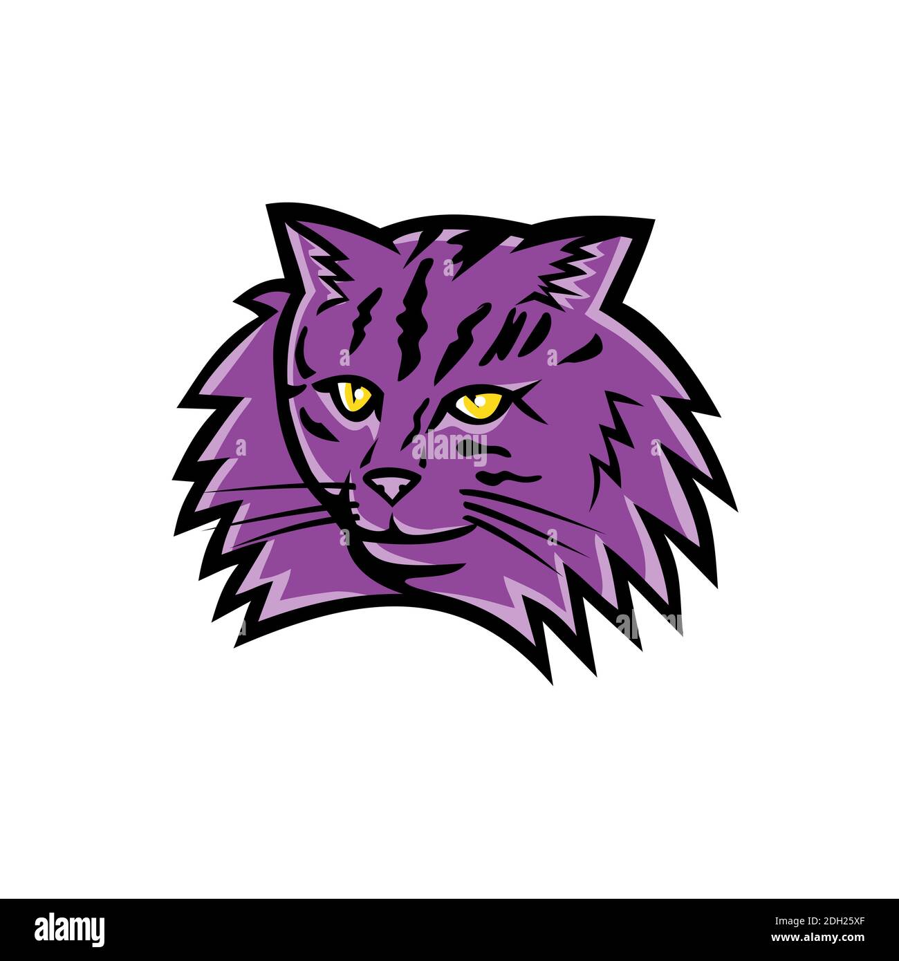 Norwegian Forest Cat Mascot Stock Photo - Alamy