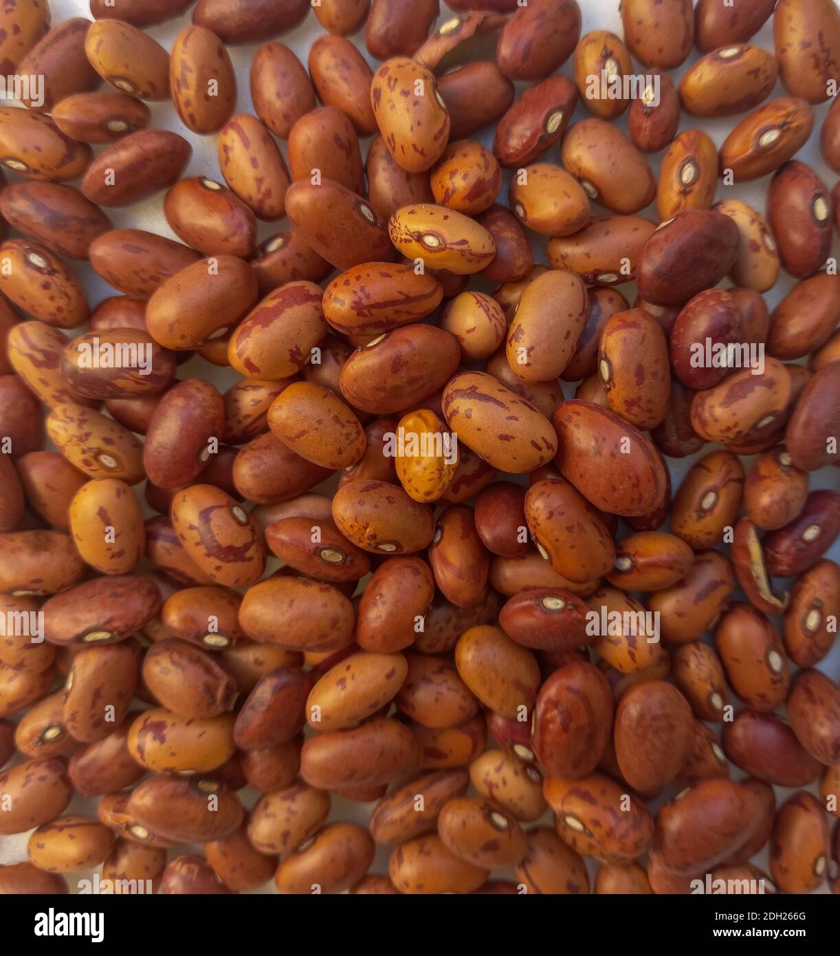 A background of red spotted beans for traditional Italian minestrone ...