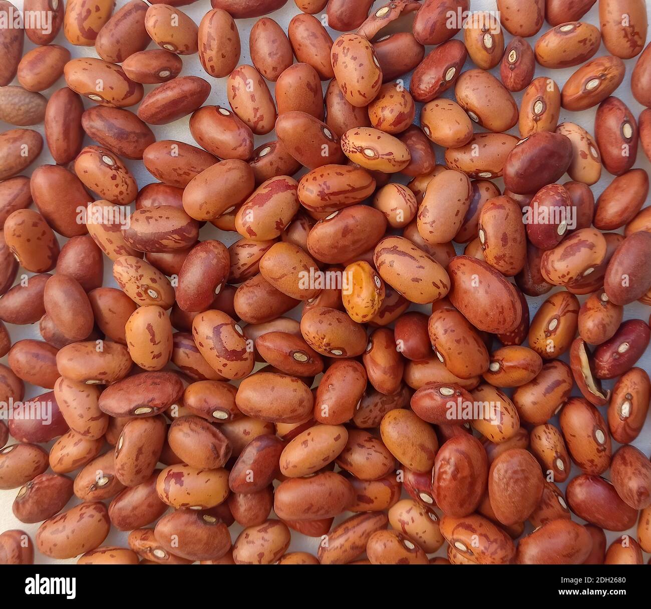 A background of red spotted beans for traditional Italian minestrone ...