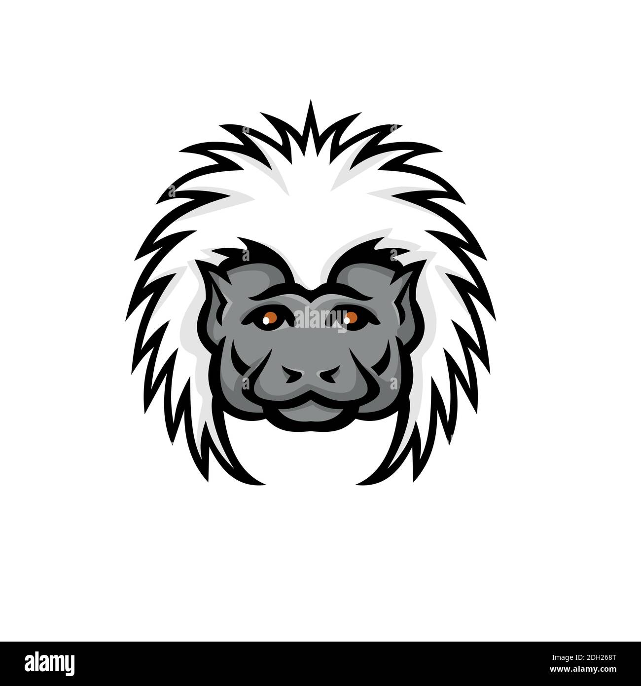 Cotton Top Tamarin Monkey Head Mascot Color Stock Photo - Alamy