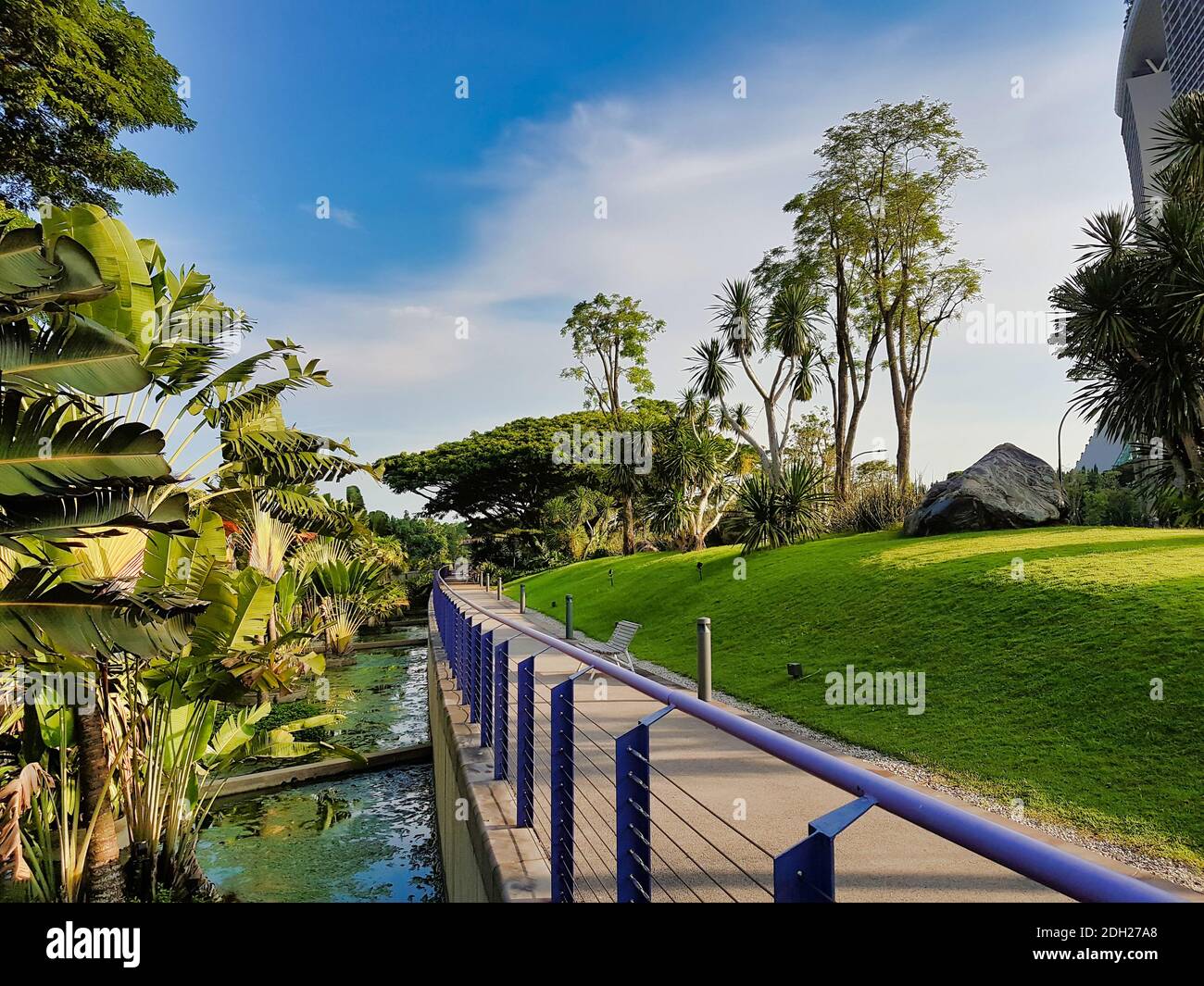 Lush greenery landscape in the Gardens by the Bay park in Singapore ...