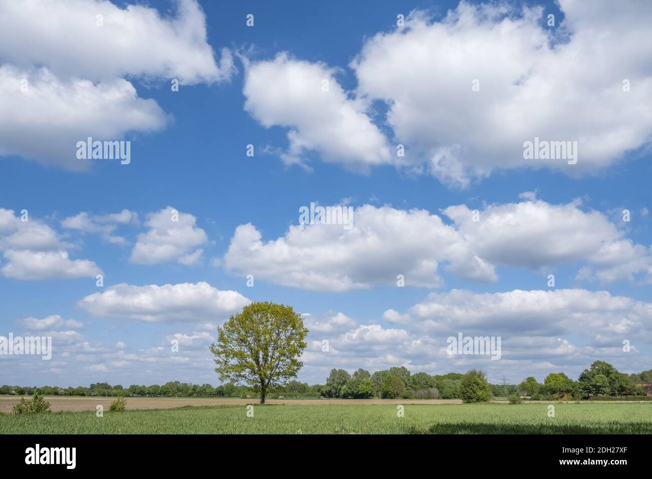 Spring in Muensterland Stock Photo - Alamy