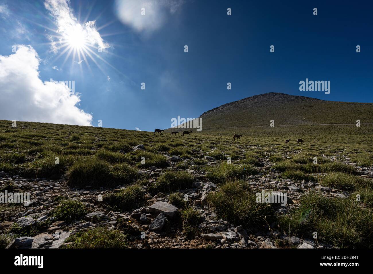 Hiking to Mount Olympus, Greece. Mountain of the Gods Stock Photo - Alamy